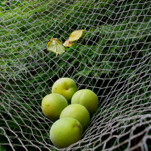 Earthstone Fabrics | WOVEN & KNITTED NETTINGS